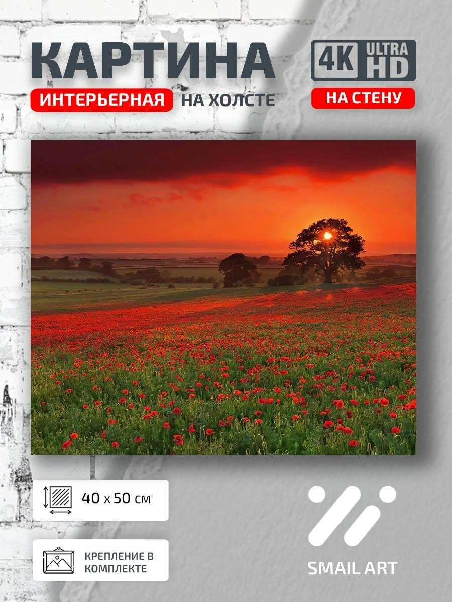 Картина на холсте интерьерная 40 на 50 на стену Природа маки для офиса пейзаж