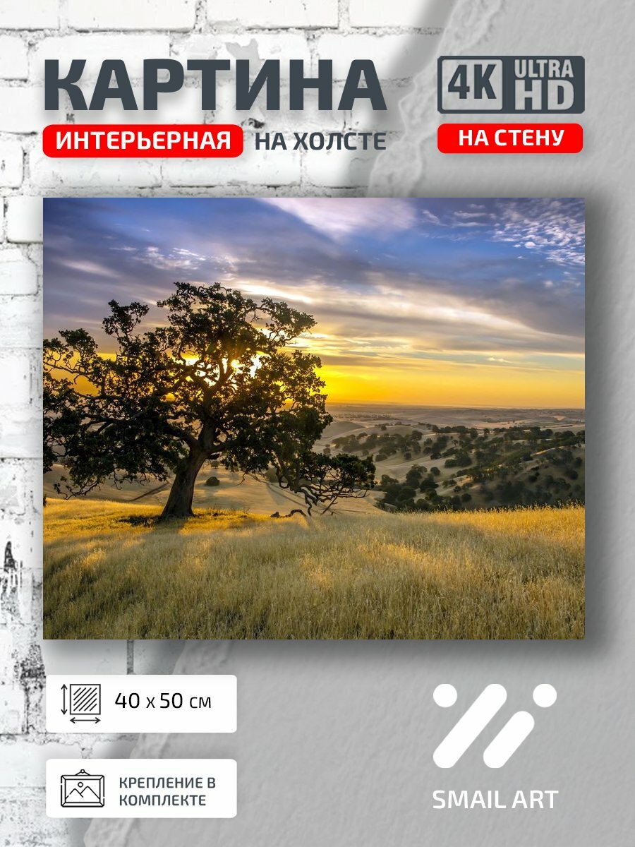 Картина на холсте интерьерная 40 на 50 на стену Поле Landscape для спальни пейзаж интерьер