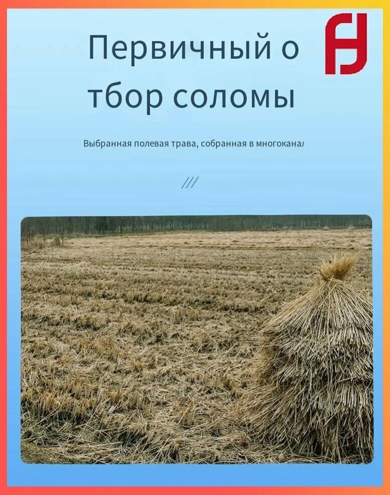 Голубиное гнездо — фото 1