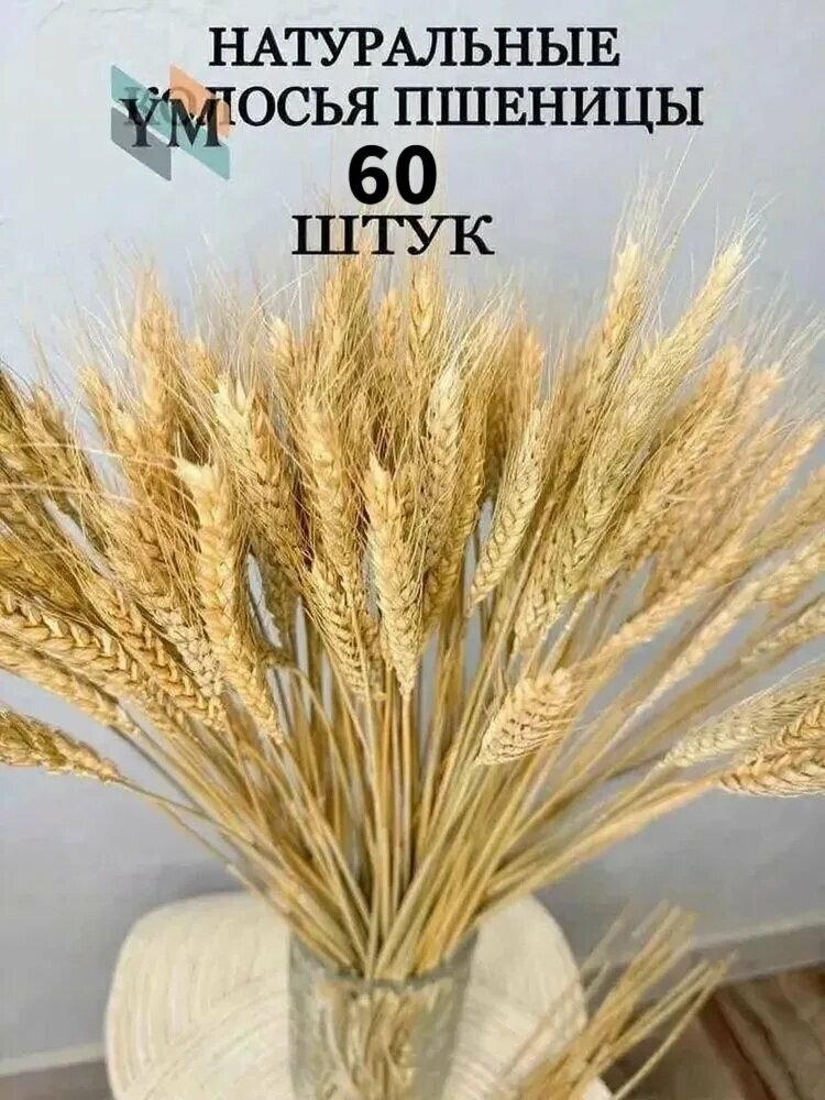 Сухоцветы Пшеница, 35 см, 120 гр, 60 шт