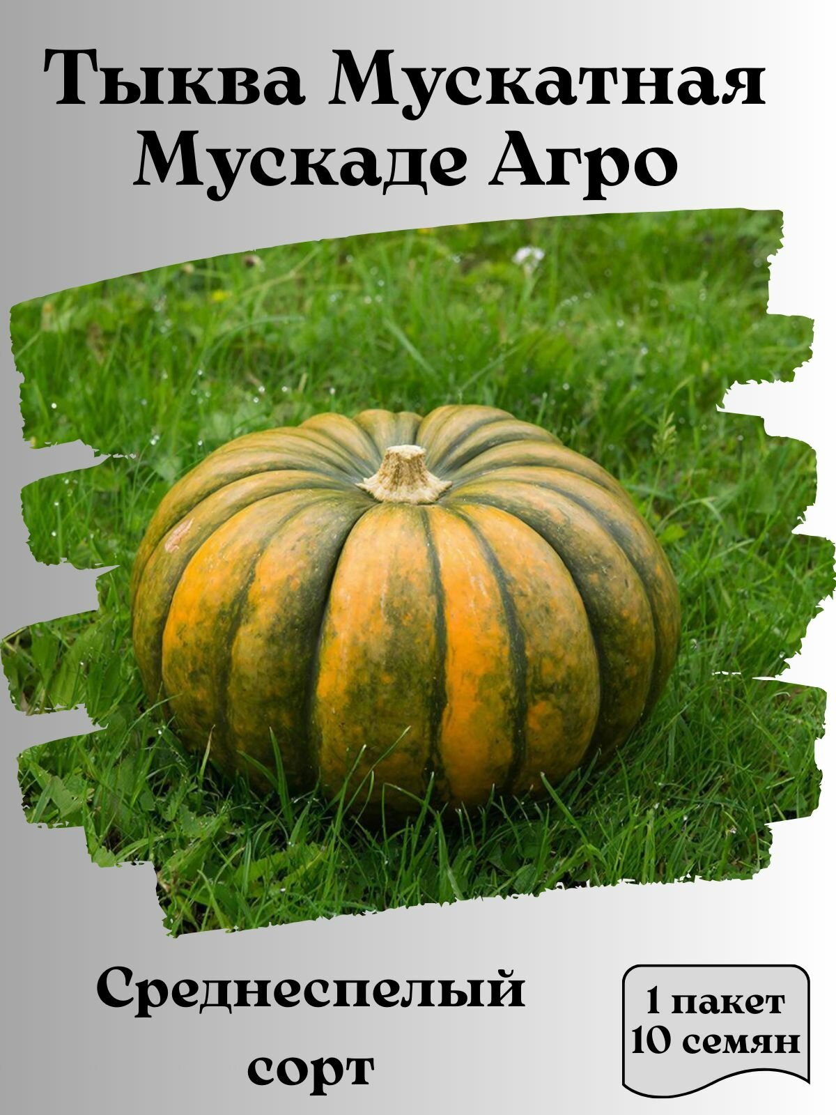 Тыква Мускатная Мускаде Агро, 10 шт, 15 гр.