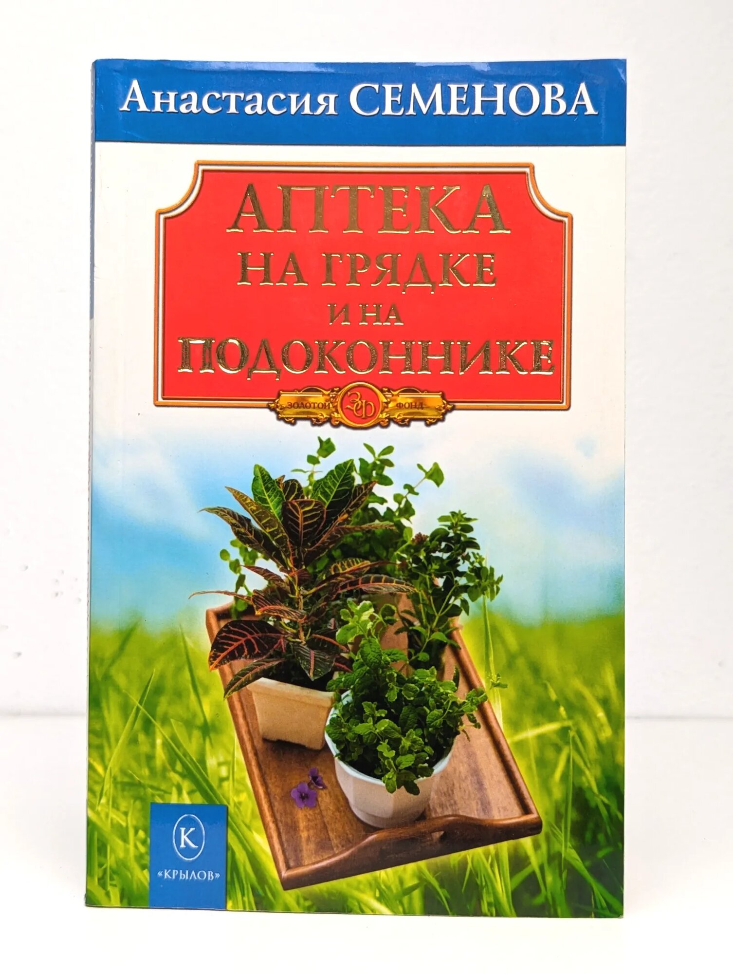 Аптека на грядке и на подоконнике Семенова Анастасия Николаевна 2009