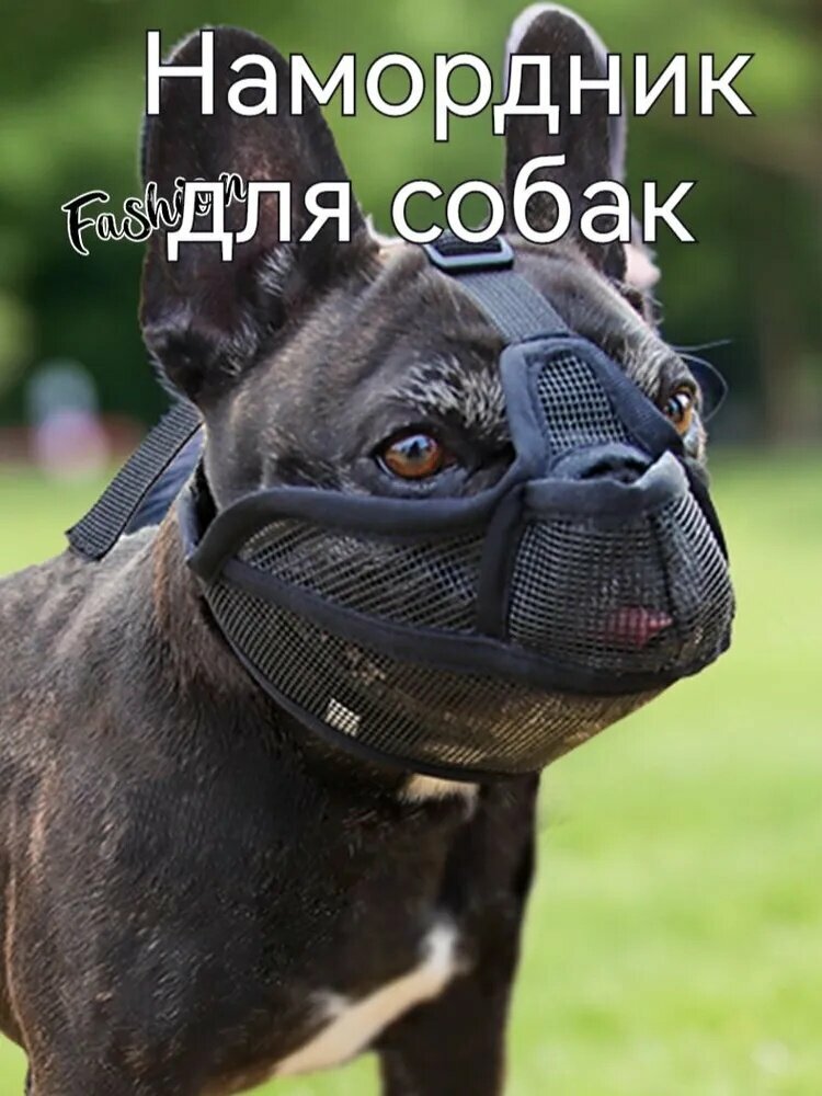 Намордник для собак (5 цветов) дышащий, антикусающий, для бульдогов и стаффордов