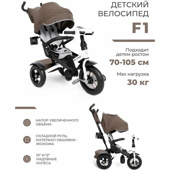 Трехколесный велосипед Caring Star F1 Коричневый