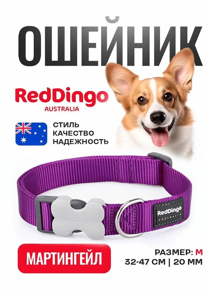 Ошейник мартингейл (полуудавка) для средних пород собак Red Dingo сиреневый