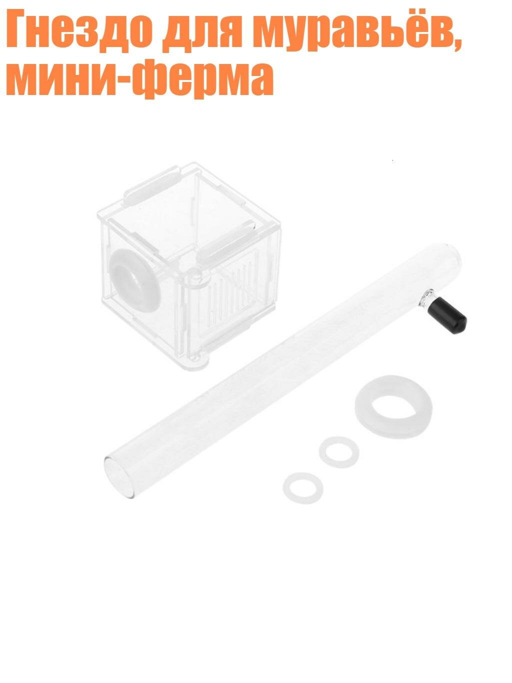 Гнездо для муравьёв, мини-ферма, Четкий