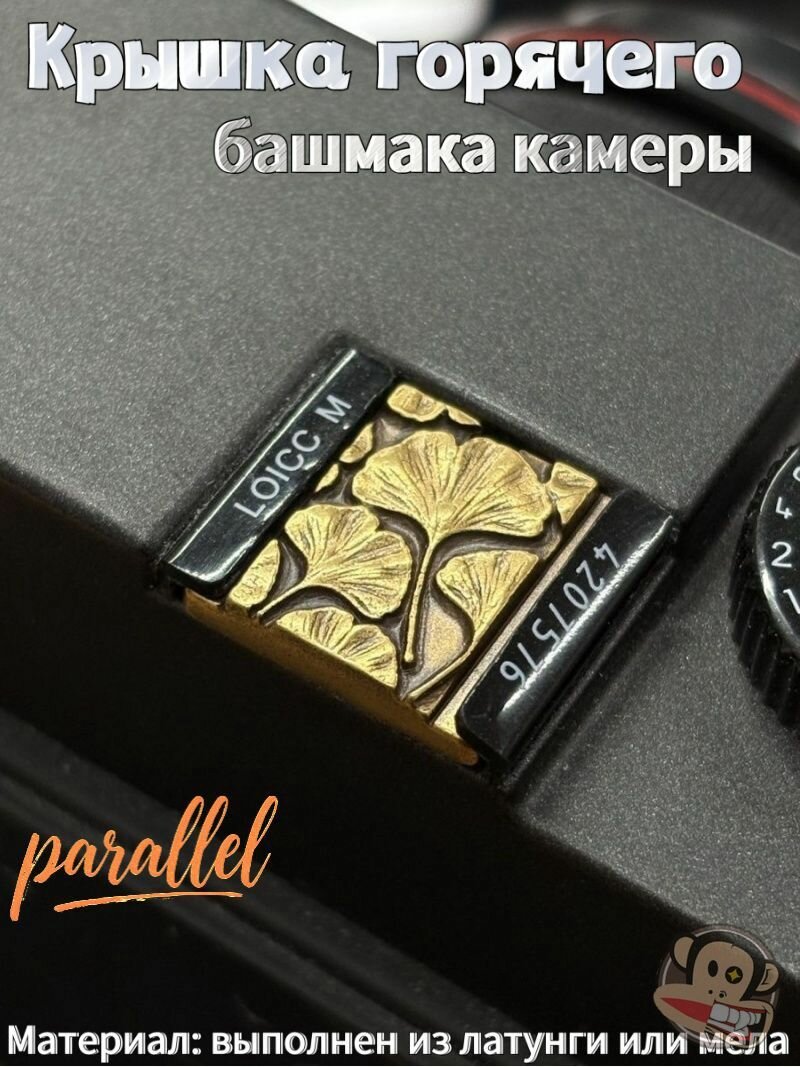 Бронза-Крышка на горячий башмак- совместимость с Sony, Fujifilm, Nikon, Canon , Подходит для более чем 90% камер в целом-белый-01
