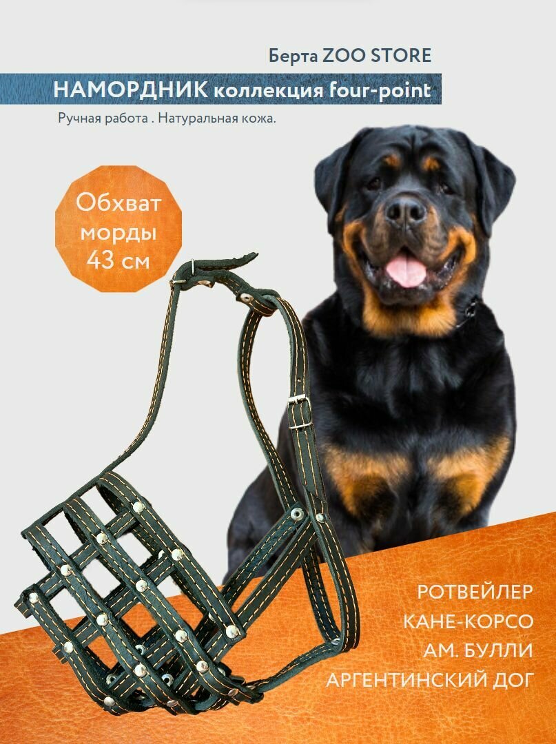 Намордник кожаный для собак