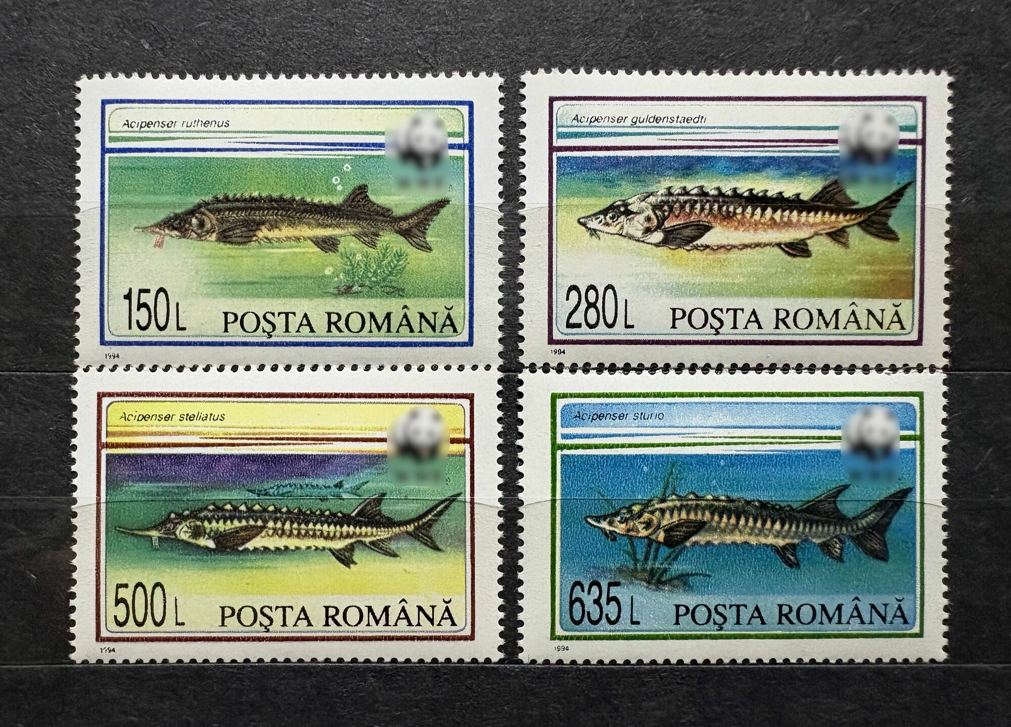 Румыния 1994, Фауна. Рыбы