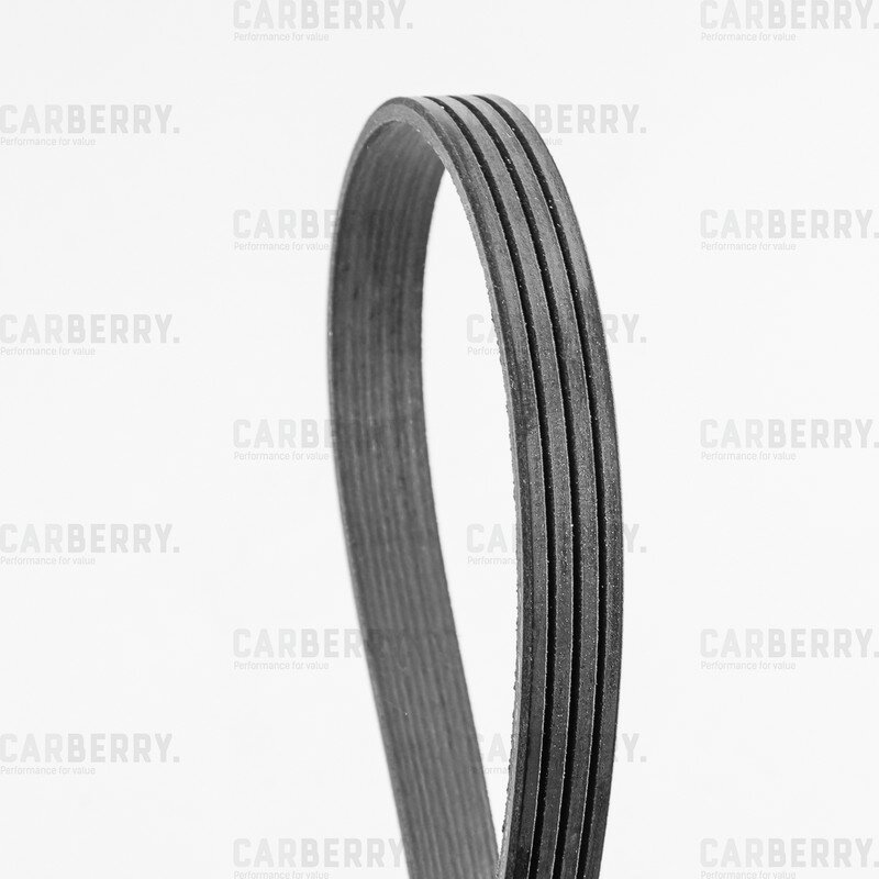 Ремень поликлиновой CARBERRY Universal (4PK1010)