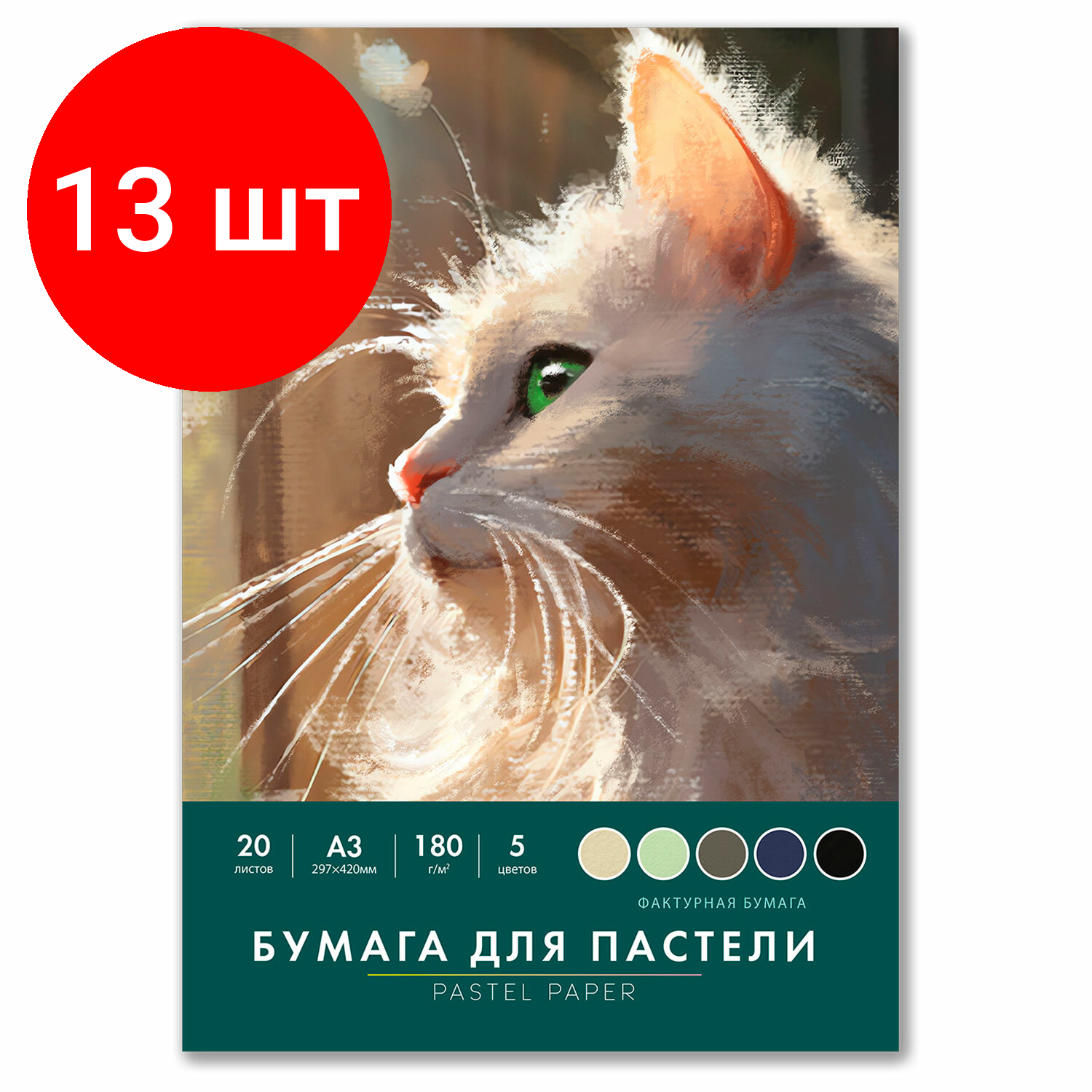 Комплект 13 шт, Бумага для пастели большая А3 в папке, 20 листов 5 цветов, 180 гр/м2, BRAUBERG ART CLASSIC, 116346