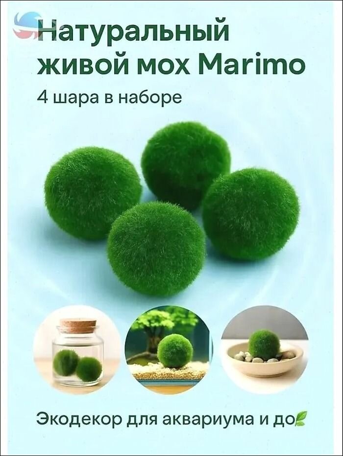 Кладофора шаровидная мох маримо (Aegagropila linnaei) 1см 4шт.