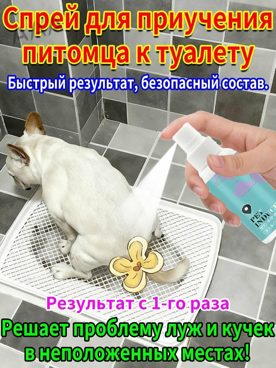 Корректор поведения для животных.