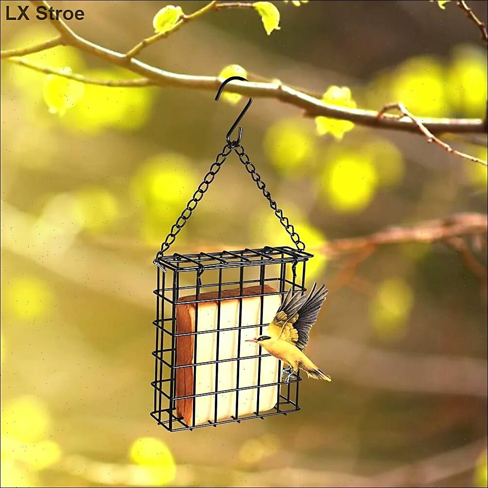 Квадратная подвесная кормушка для птиц с проволочной сеткой и цепью, подходит для хлеба, фруктов и корма для колибри