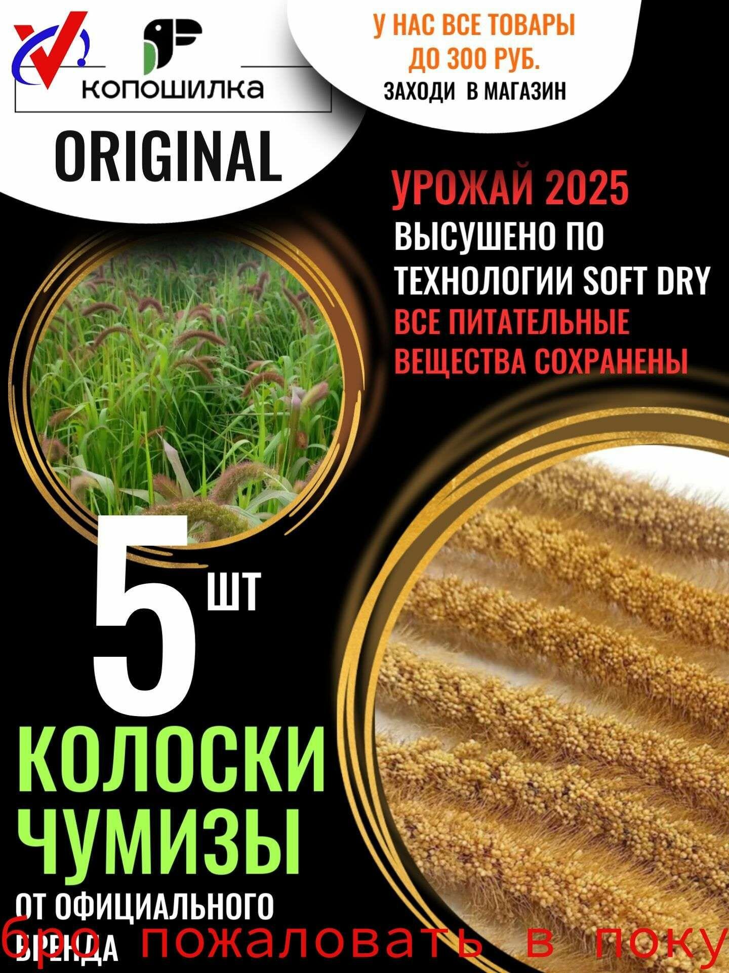 Чумиза для попугаев 5 шт. сенегальское просо лакомство игрушка для птиц и грызунов , урожай 2025 года - копошилка бренд от производителя