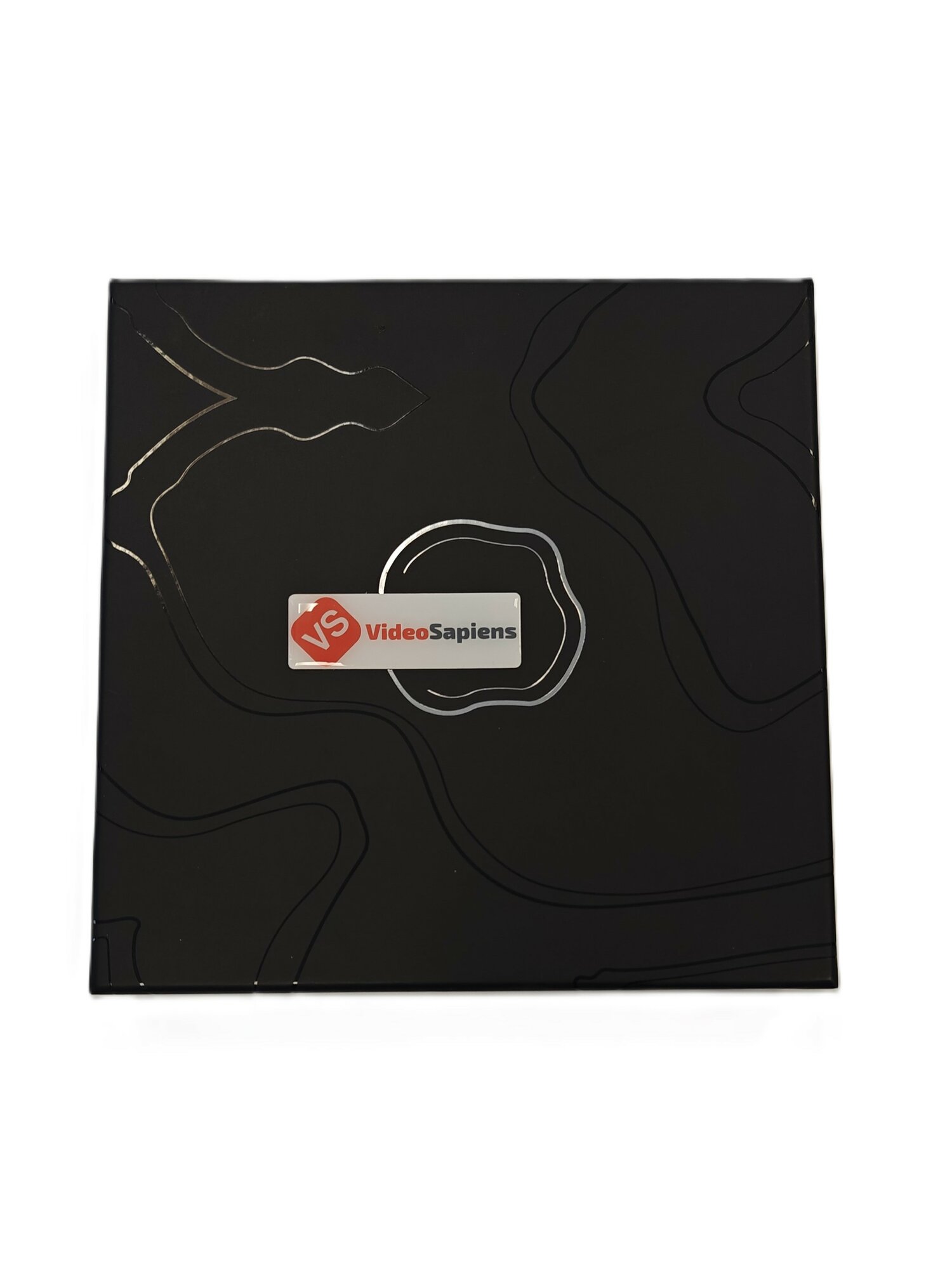 Настольная игра VideoSapiens Защитник Петя по мотивам произведения про Гарри Поттера