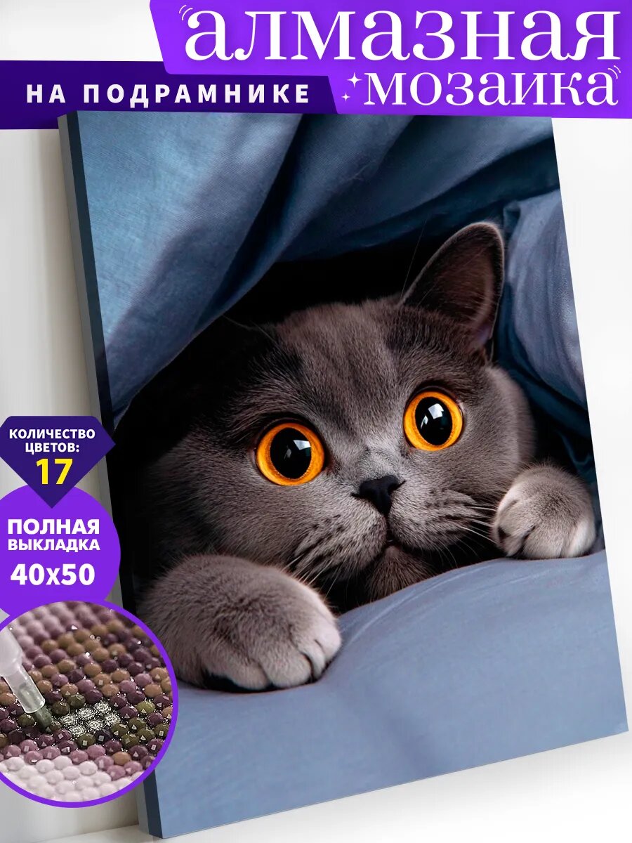 Серый кот Алмазная мозаика на подрамнике 40х50 см