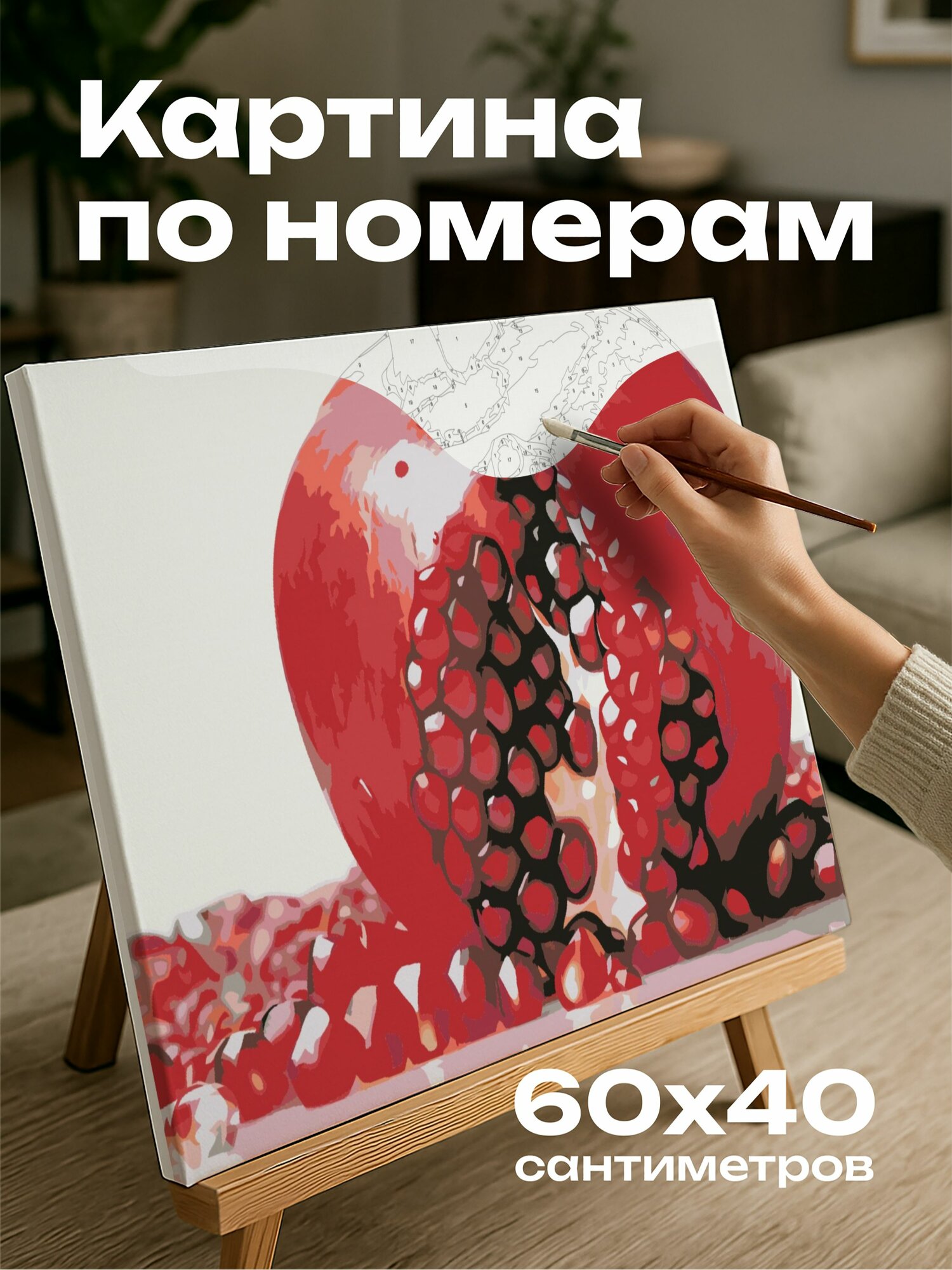Картина по номерам 60x40 см, гранат, фрукт, минимализм, высокое разрешение, белая поверхность, рассеянный свет