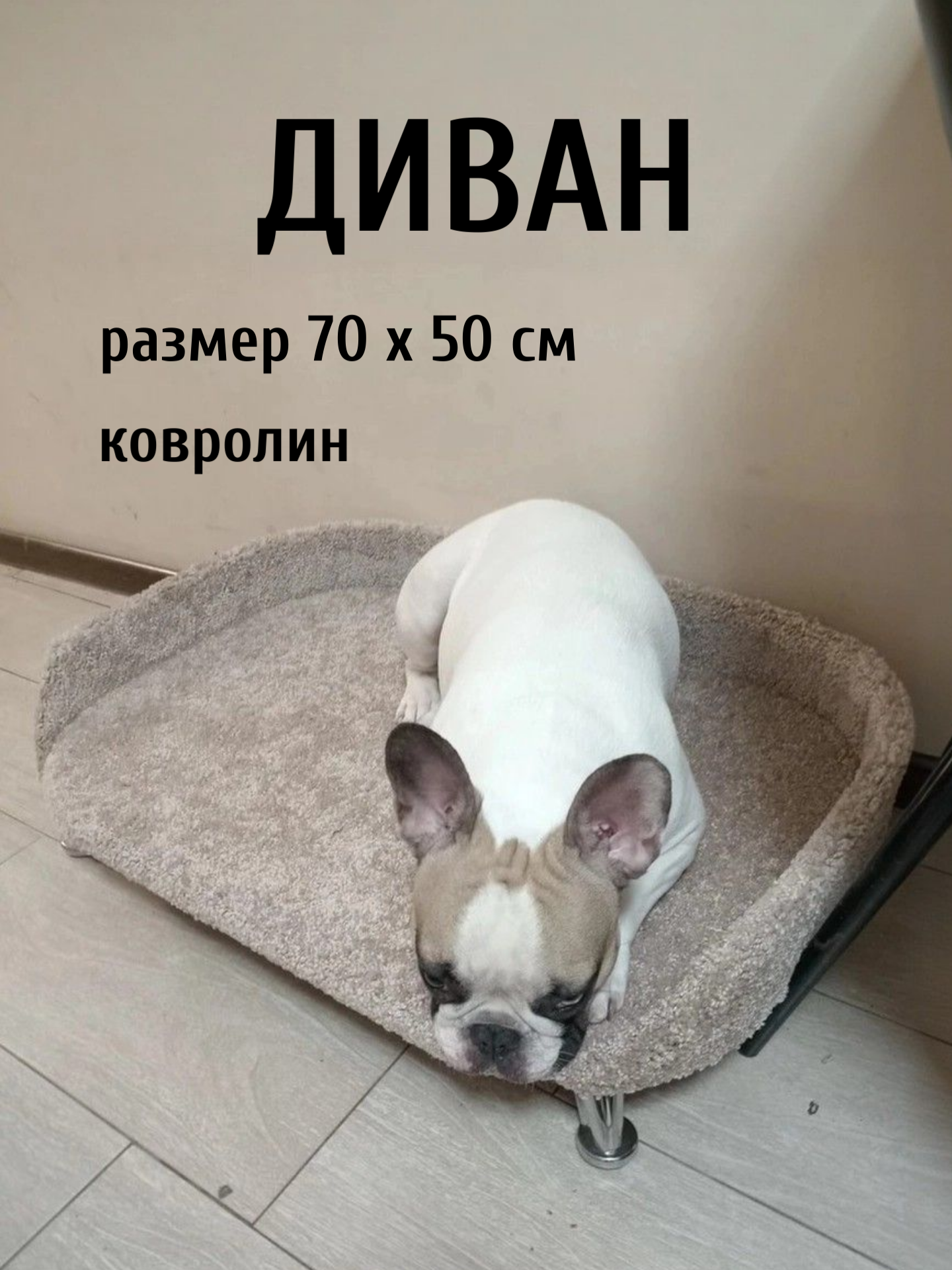 Лежанка для собак Моя Котя на ножках, бежевый ковролин, 70х50х10см