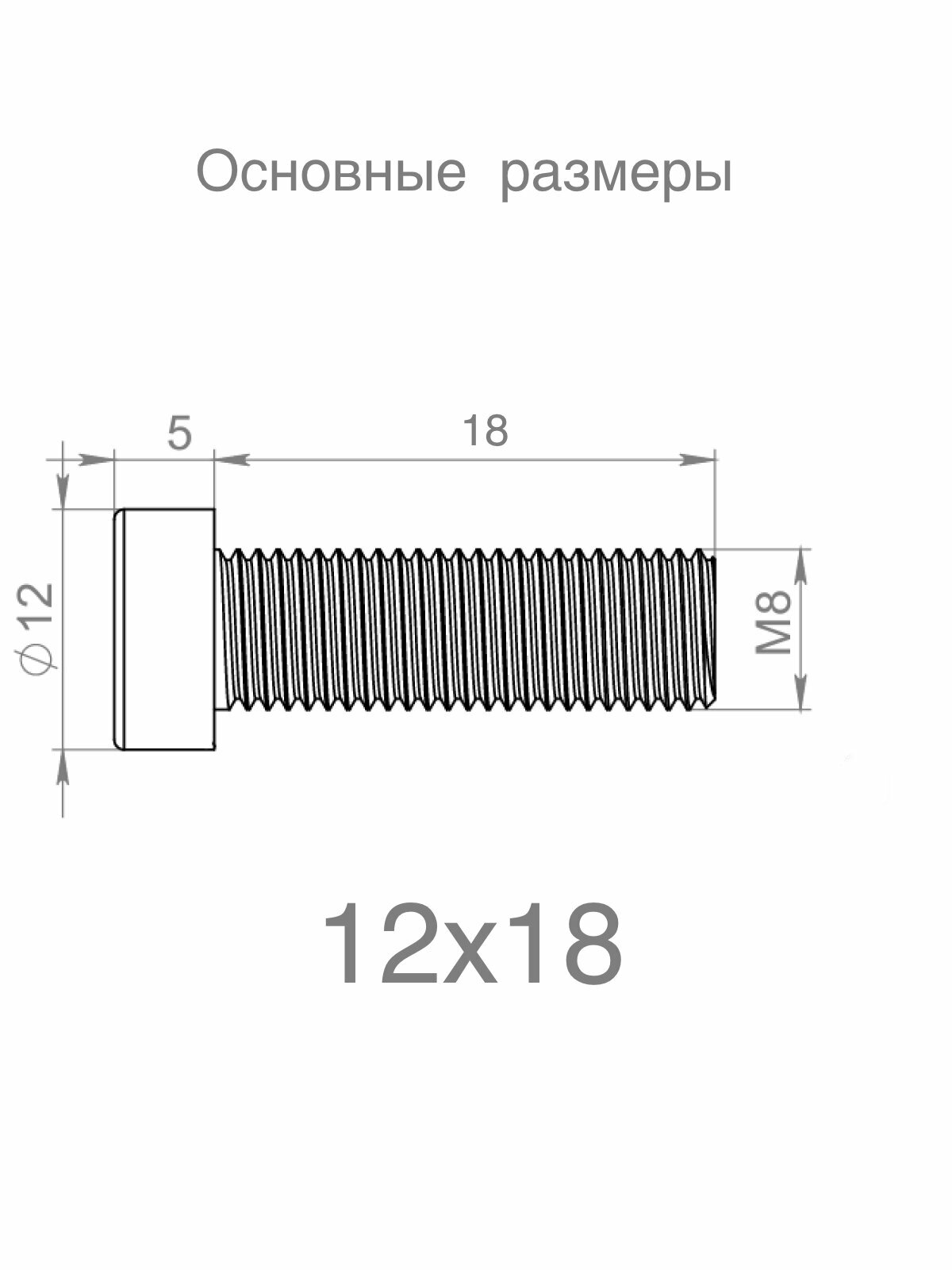 Декоративный болт М8 12х18 мм, 10 штук — фото 1
