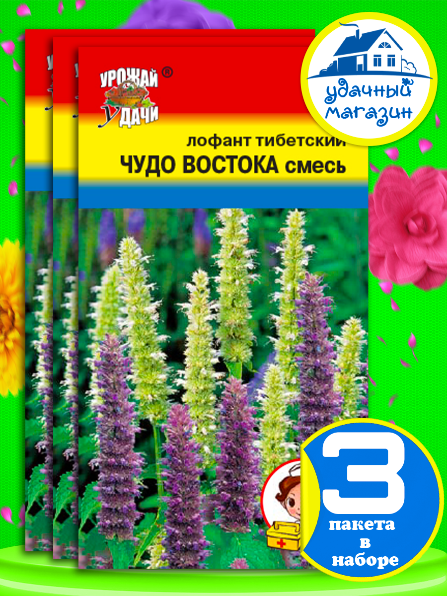 Семена лофант тибетский трава многолетний чудо востока смесь