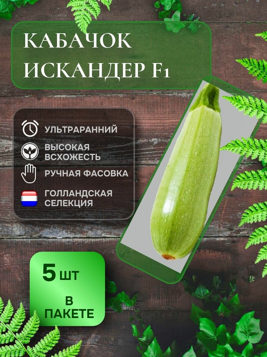 Семена кабачка Искандер F1, раннеспелый, самоопыляемый, высокоурожайный, 5шт