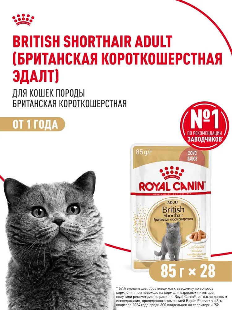 Влажный корм для кошек Royal Canin для британской короткошерстной породы, кусочки в соусе 85 г х 28 шт