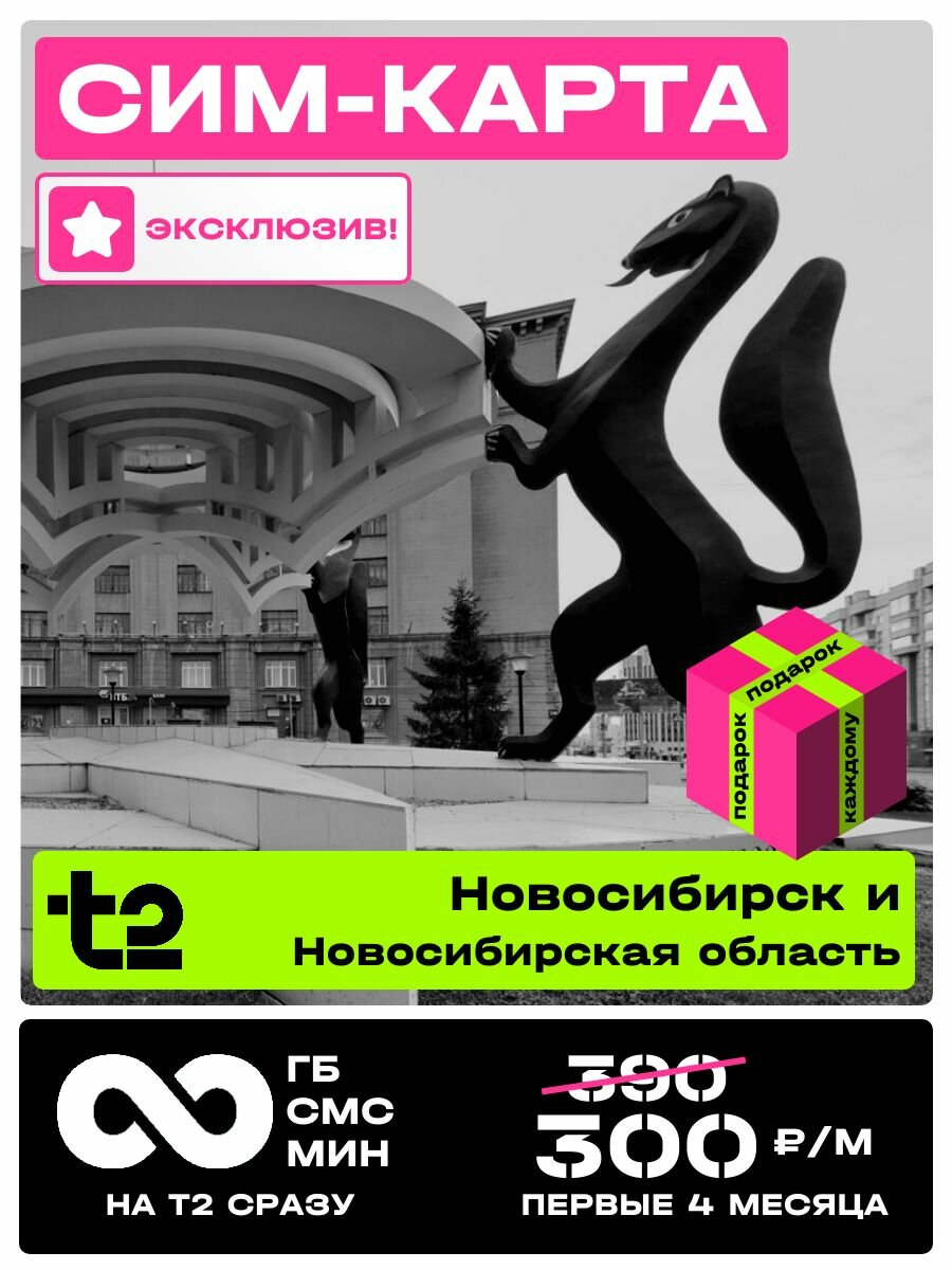 Сим карта теле 2 с безлимитным интернетом и минутами. t2 SIM-карта тариф хватит Новосибирская область. За 300 рублей в месяц.