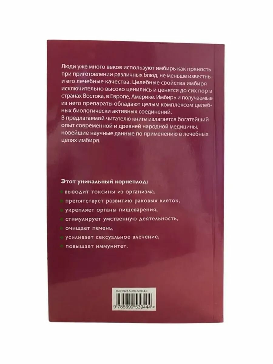 Целебный имбирь — фото 1