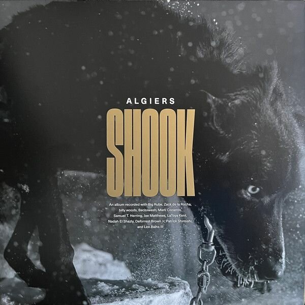 Пластинка Algiers "Shook" 2LP (Coloured)