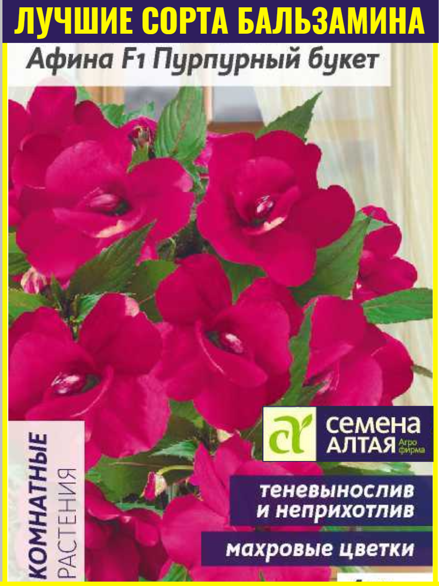 Семена бальзамин Афина F1 Пурпурный букет - 5 шт