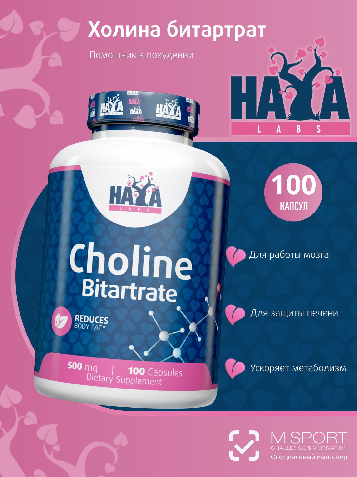 Haya Labs Холин Битартрат 500мг 100 капсул