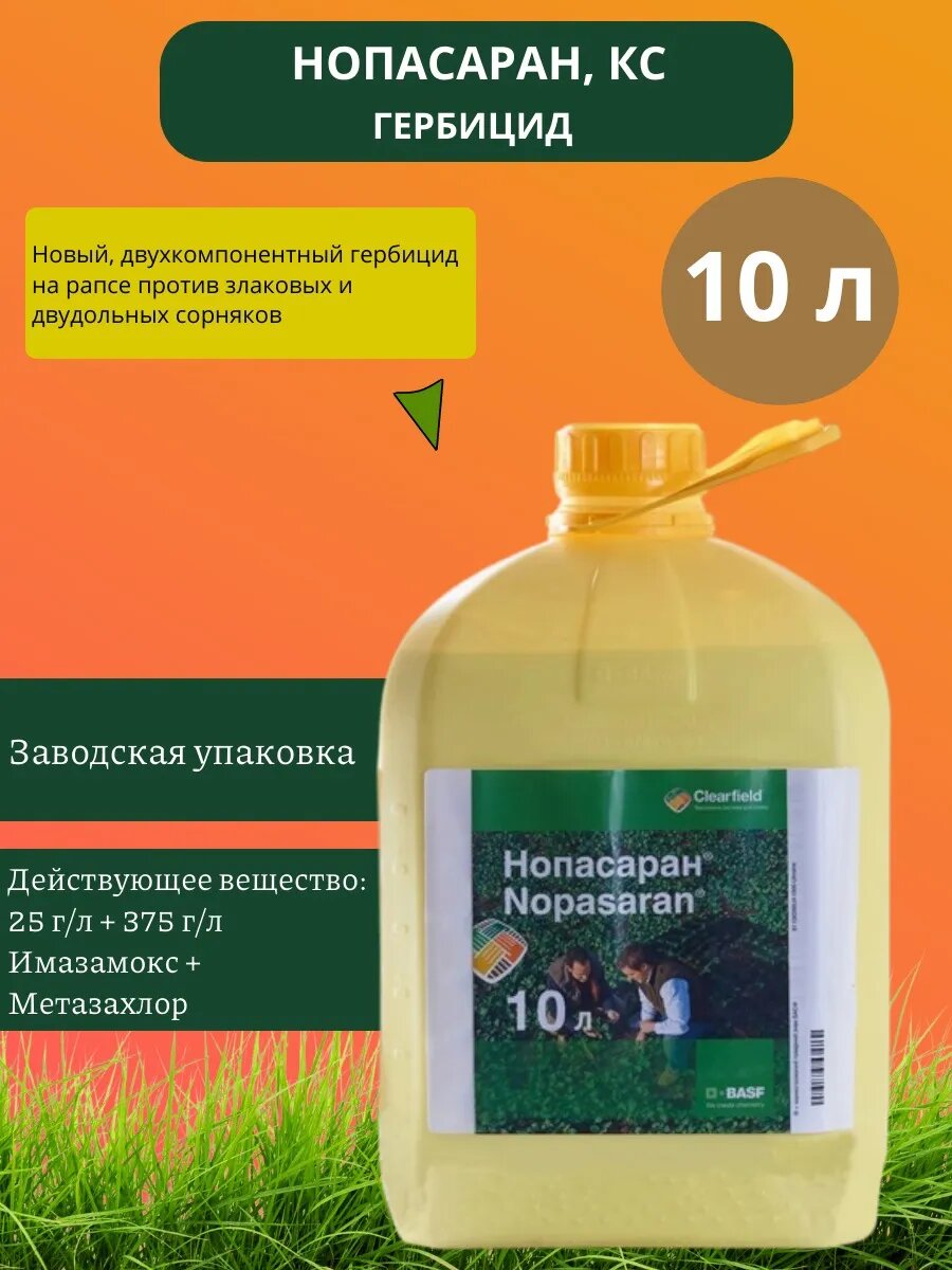 Системный послевсходовый гербицид Нопасаран КС 10л, от сорняков для рапса