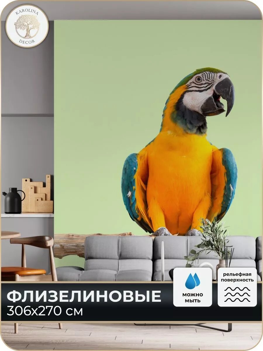 Фотообои Попугай в детскую в спальню на кухню 300х270