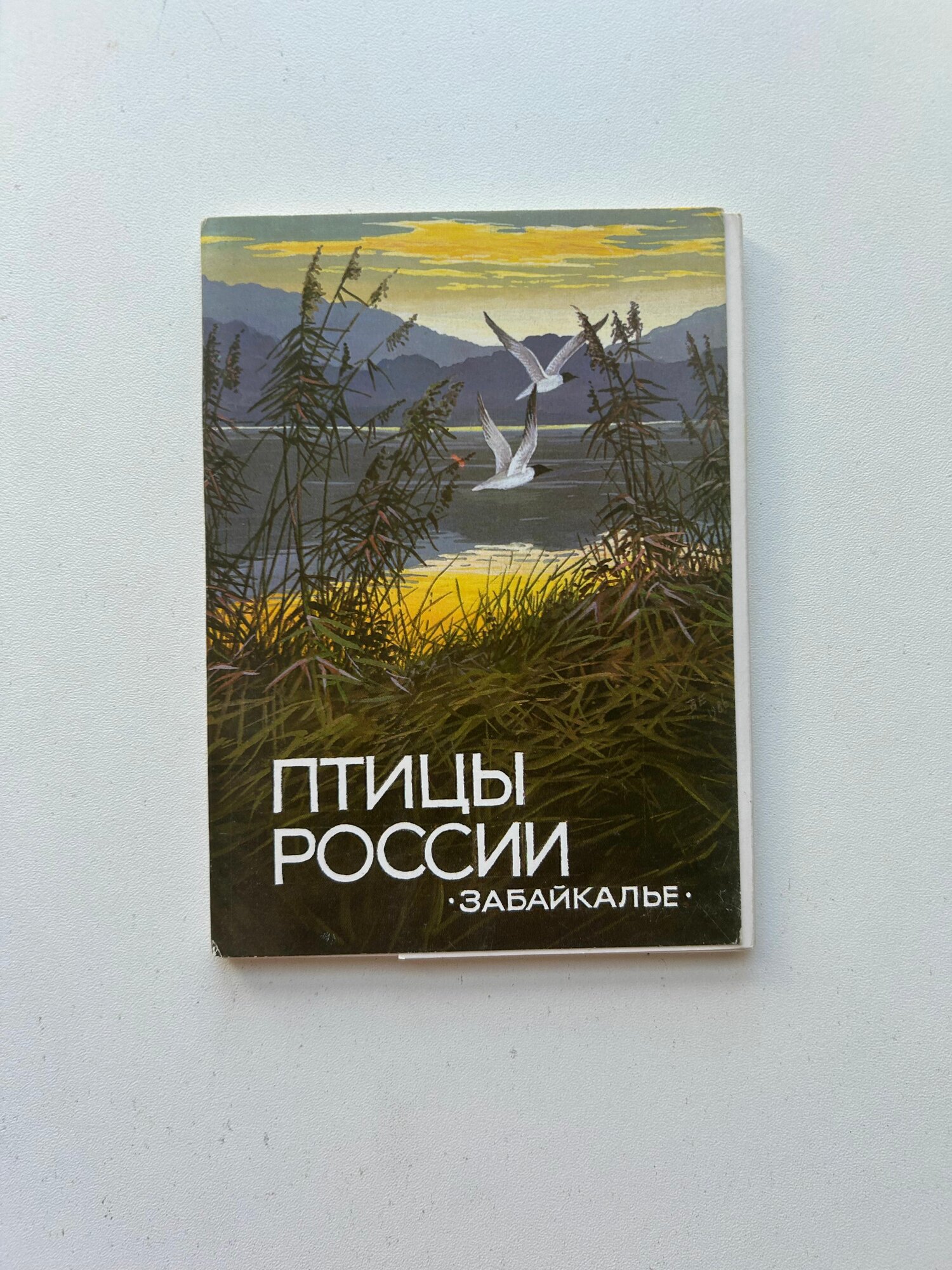 Набор открыток Птицы России. Забайкалье. Выпуск 4 . Художник В. Г. Егоров. Полный комплект из 16 открыток. Издание 1987 года