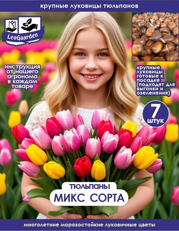 Тюльпан Луковица, Микс сортов 7 шт, крупные