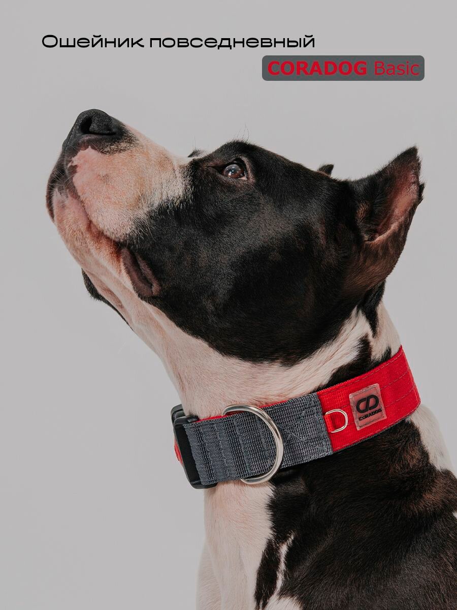 Ошейник широкий повседневный, CORADOG Basic, для средних и крупных собак, красный серый, размер M-4 38-54 см