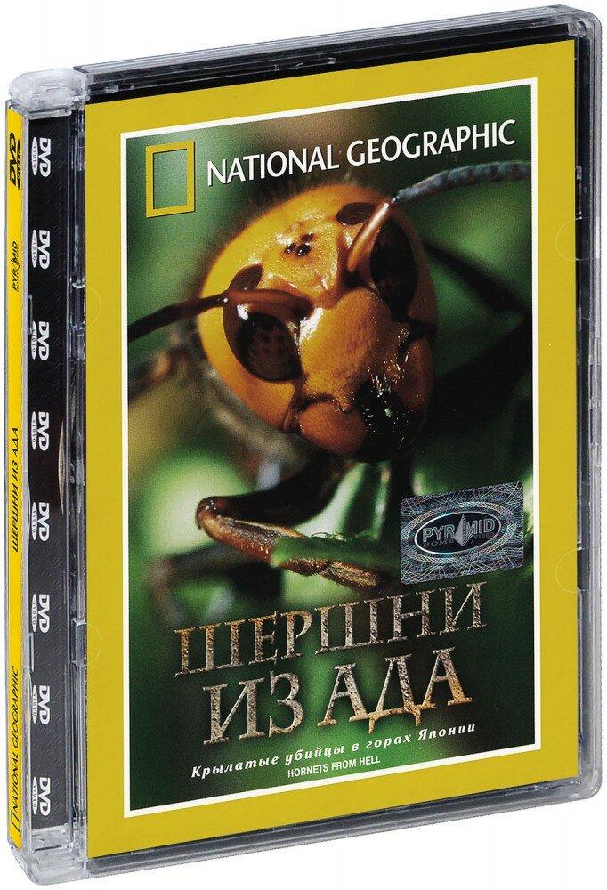 НГО. Шершни из ада (DVD) (ДВД диск, Super Jewel Case, США, National Geographic Society)