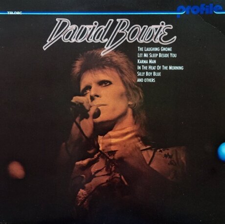 DAVID BOWIE David Bowie (Виниловая пластинка)