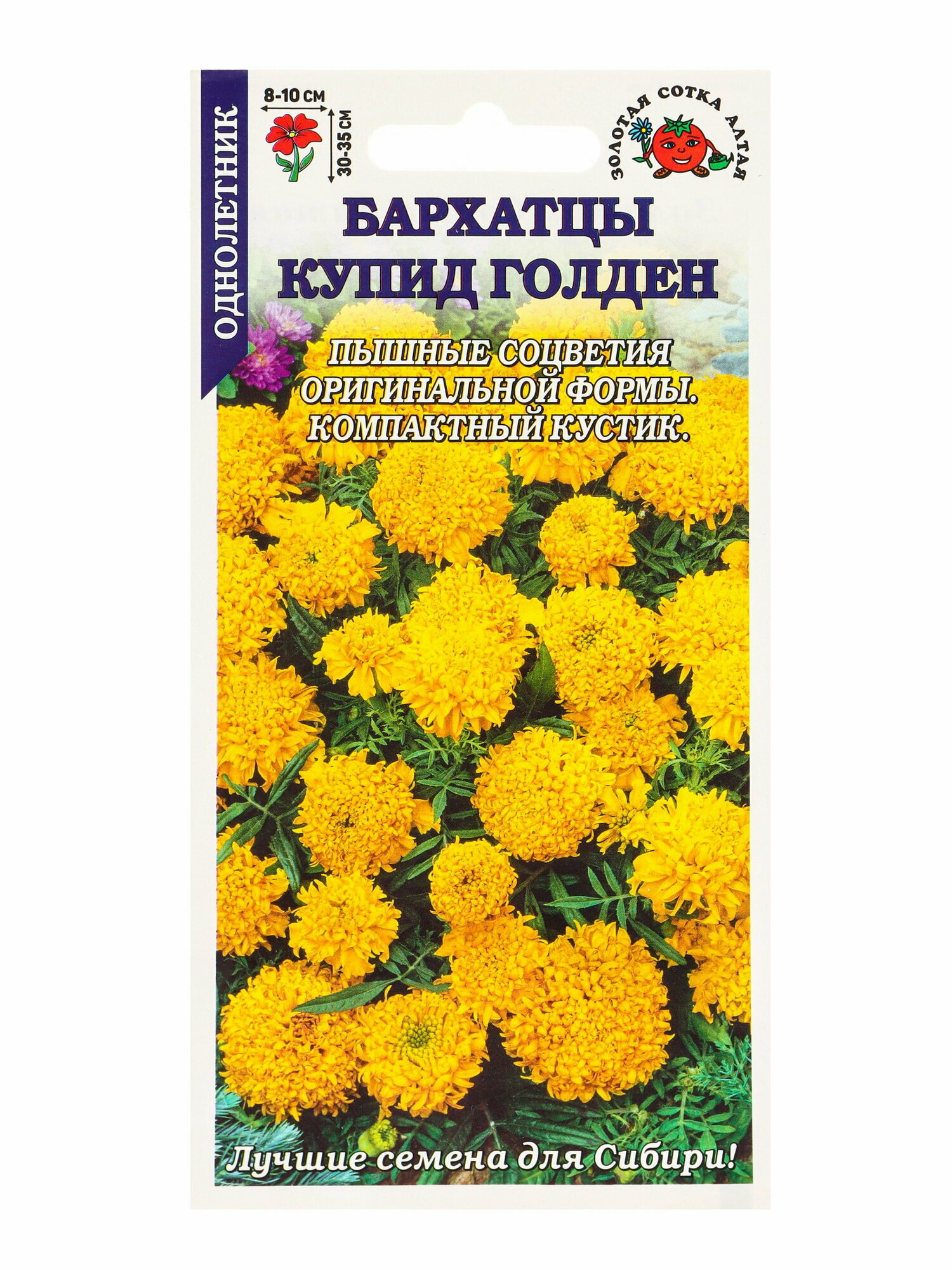 Семена Бархатцы "Купид Голден", 0.1 г, прямостоячие, цветение период: август, 3 шт.
