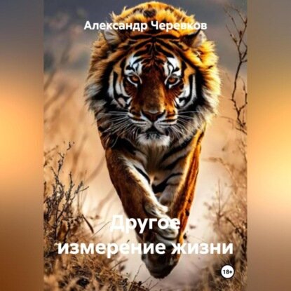 Другое измерение жизни [Аудиокнига]