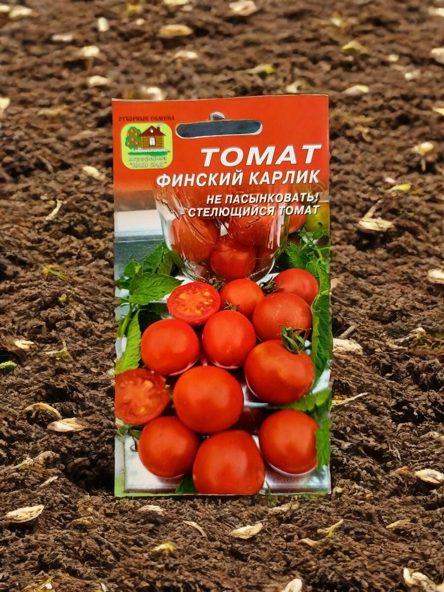 Семена томата для открытого грунта Финский Карлик( супер ранний , низкорослый, стелющегося типа ) Наш Сад
