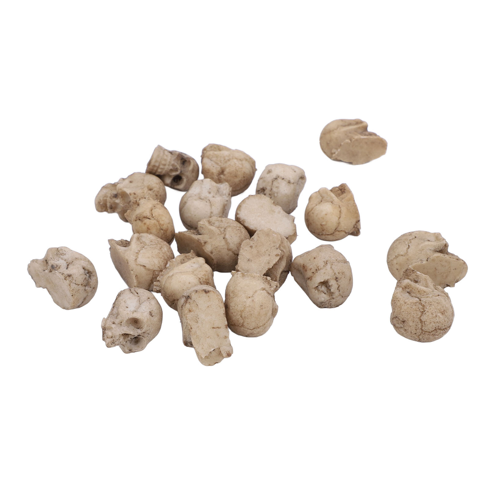 20 миниатюрных черепов, реалистичные головы скелетов из смолы для микросадовых горшков, многоразовые декоративные маленькие черепа