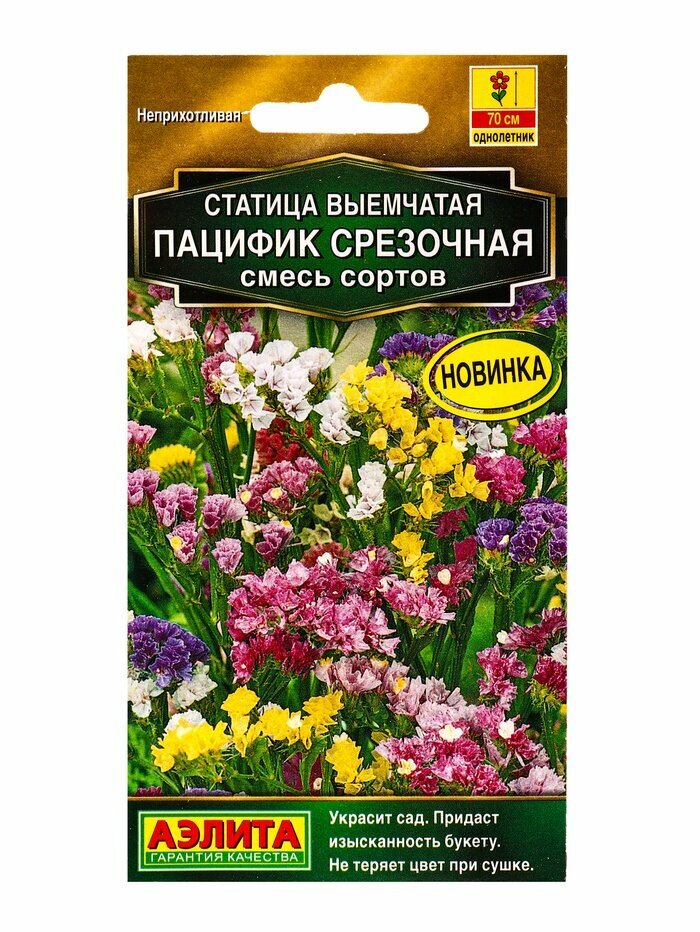 Семена цветов Статица Пацифик срезочная, смесь сортов Золотая серия, Ц/П,0,1 г 10945899