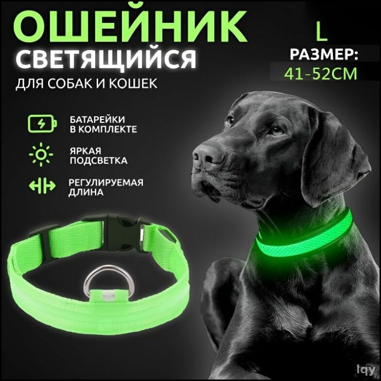 Эксклюзивный светодиодный ошейник для кошек и собак из нейлона в зеленом цвете, размер L