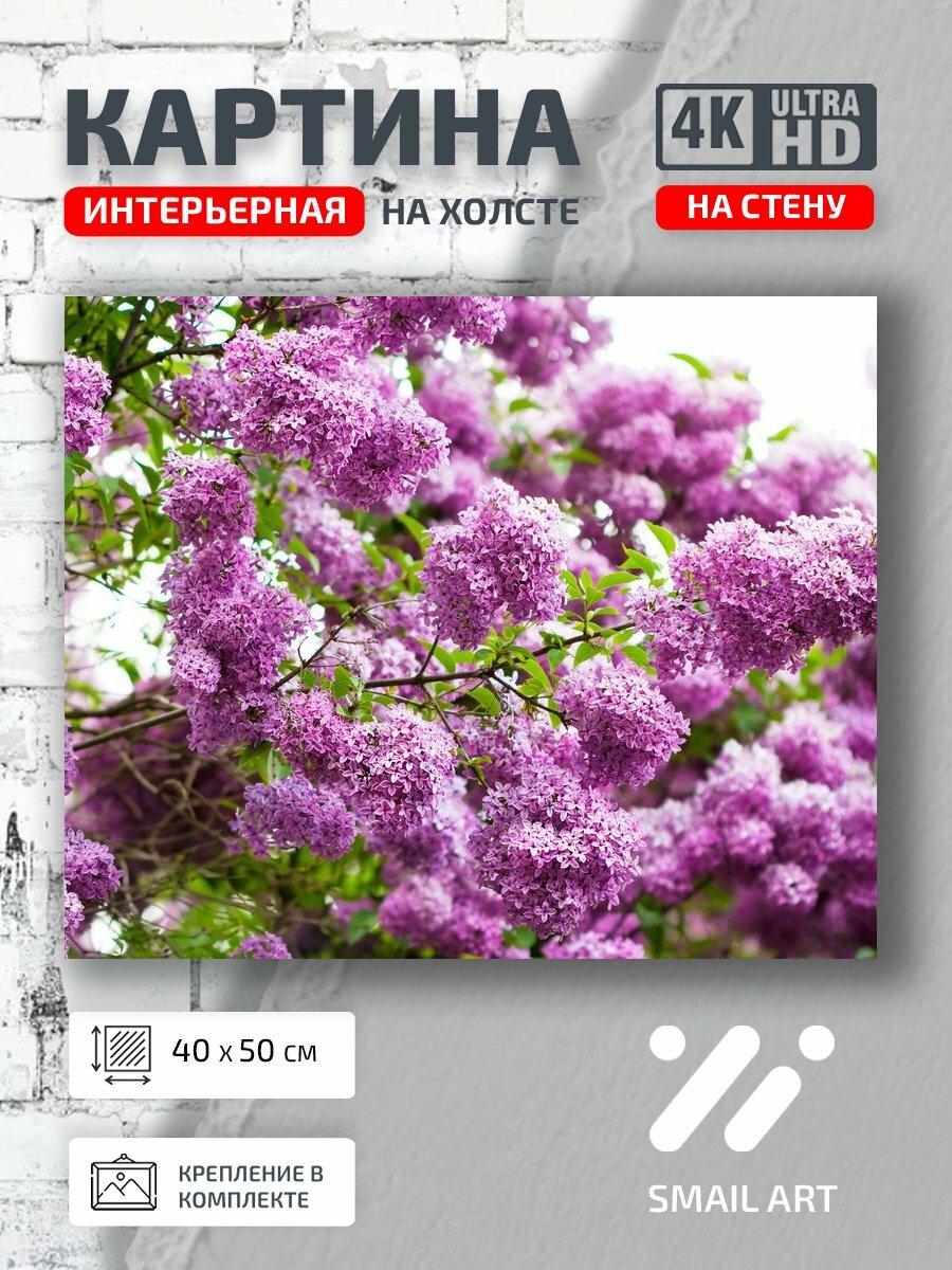 Картина на холсте интерьерная 40 на 50 на стену Ветки Mood для спальни атмосфера интерьер