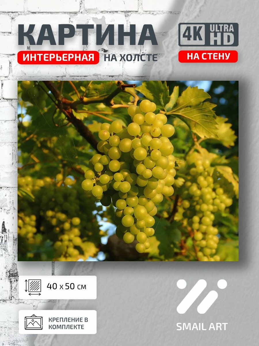 Картина на холсте интерьерная 40 на 50 на стену Ветка Landscape для кабинета пейзаж декор