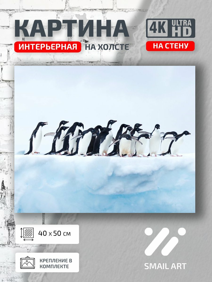 Картина на холсте интерьерная 40 на 50 на стену Снег Mood для кабинета атмосфера интерьер