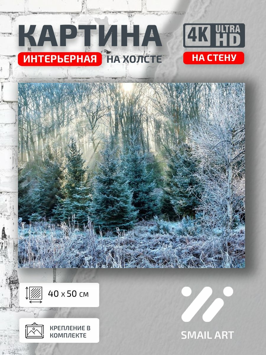 Картина на холсте интерьерная 40 на 50 на стену Лучи rays для спальни пейзаж интерьер декор