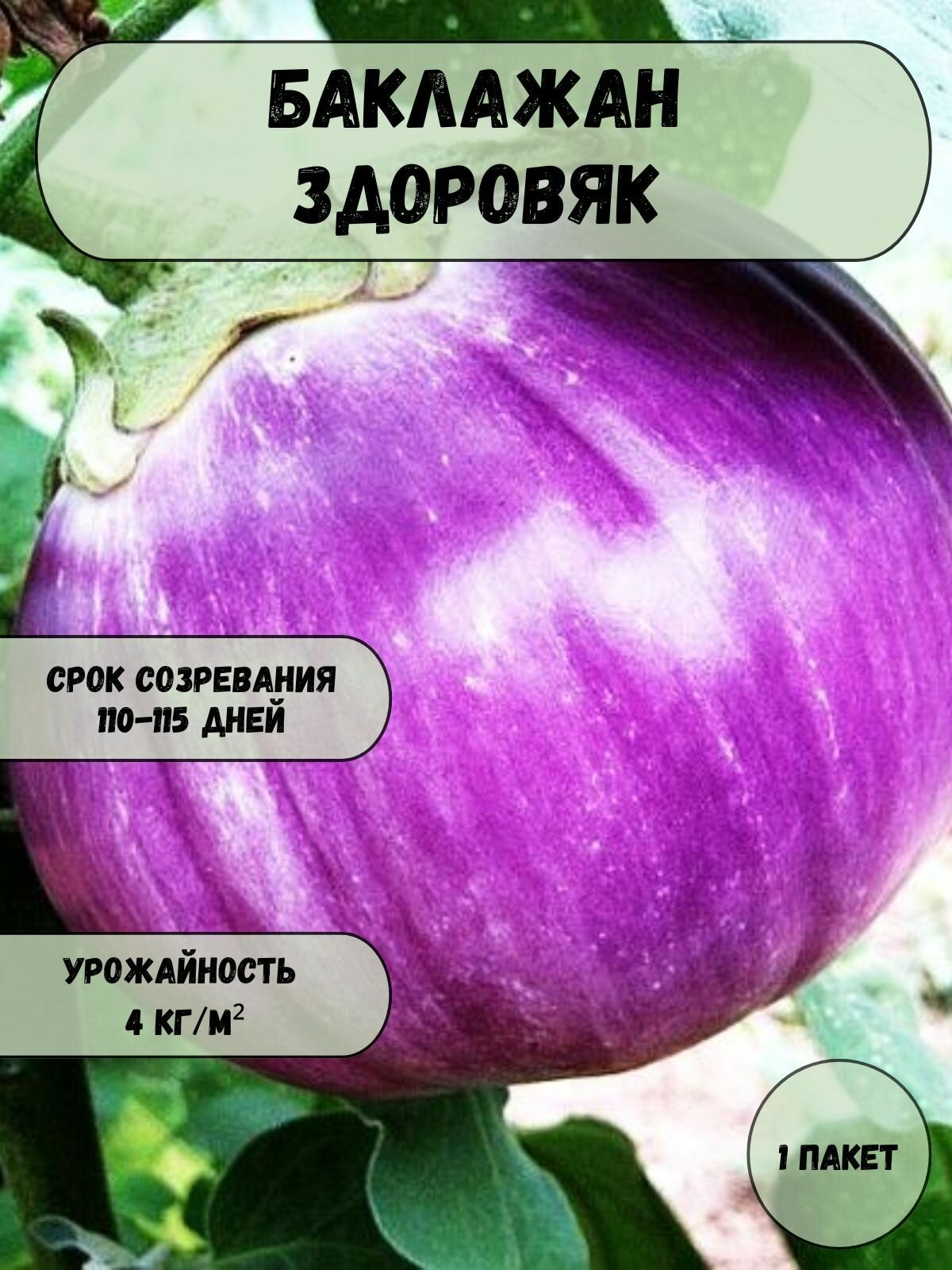 Баклажан Здоровячок семена 10 шт